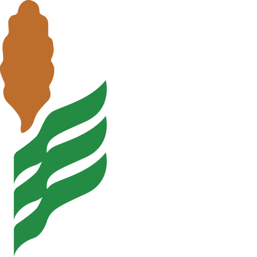 cropped-Sorghum-Tab-Icon.png | Kansas Grain Sorghum