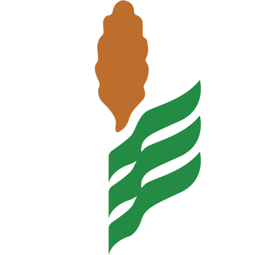cropped-Sorghum-Tab-Icon.png | Kansas Grain Sorghum