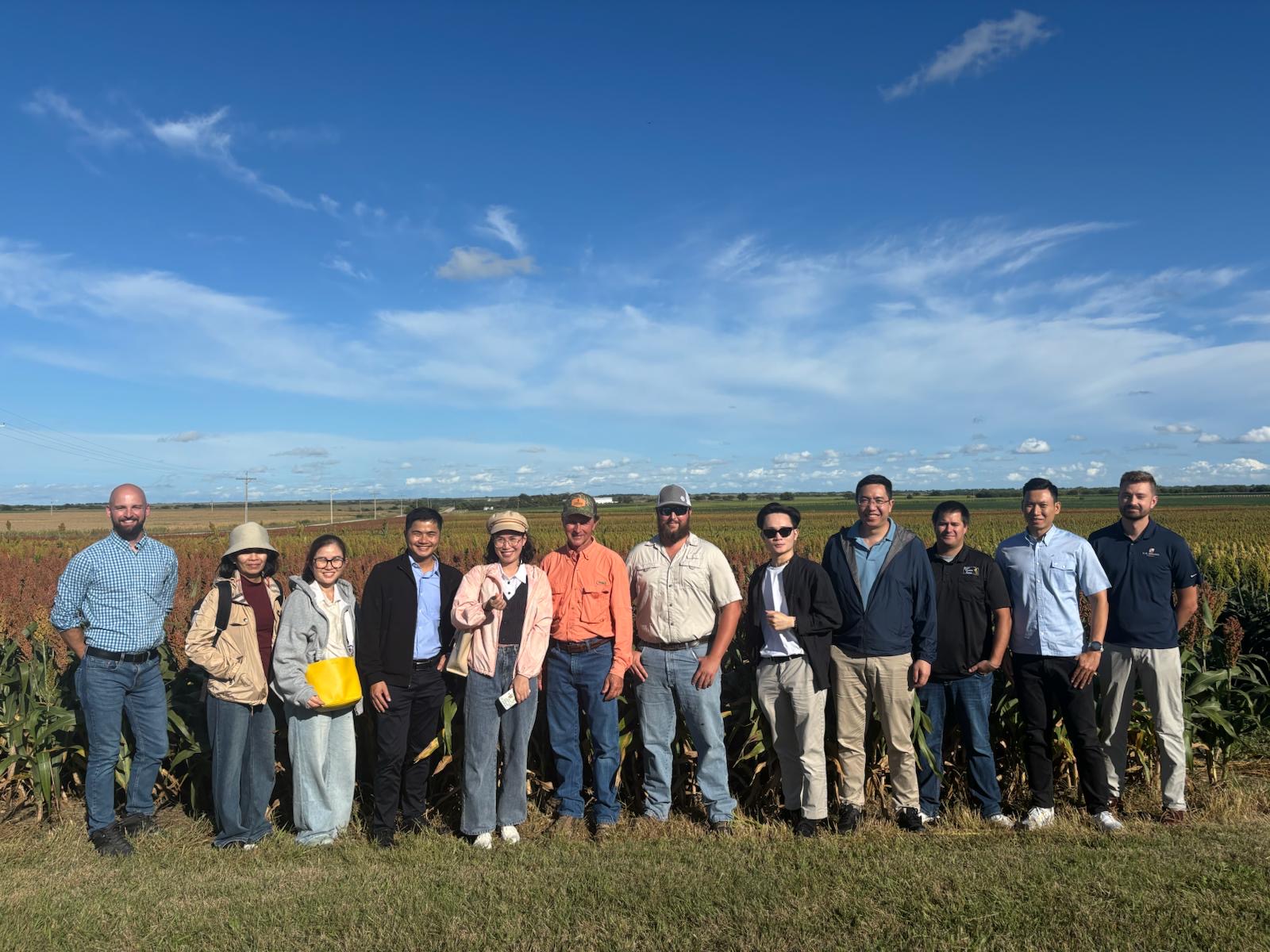 VN2 | Kansas Grain Sorghum