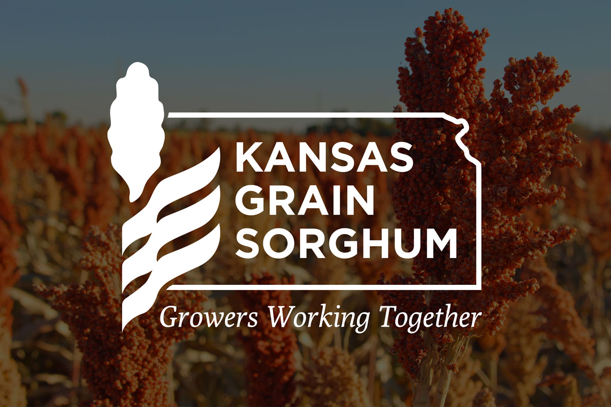 Kansas Grain Sorghum – Growers Working Together