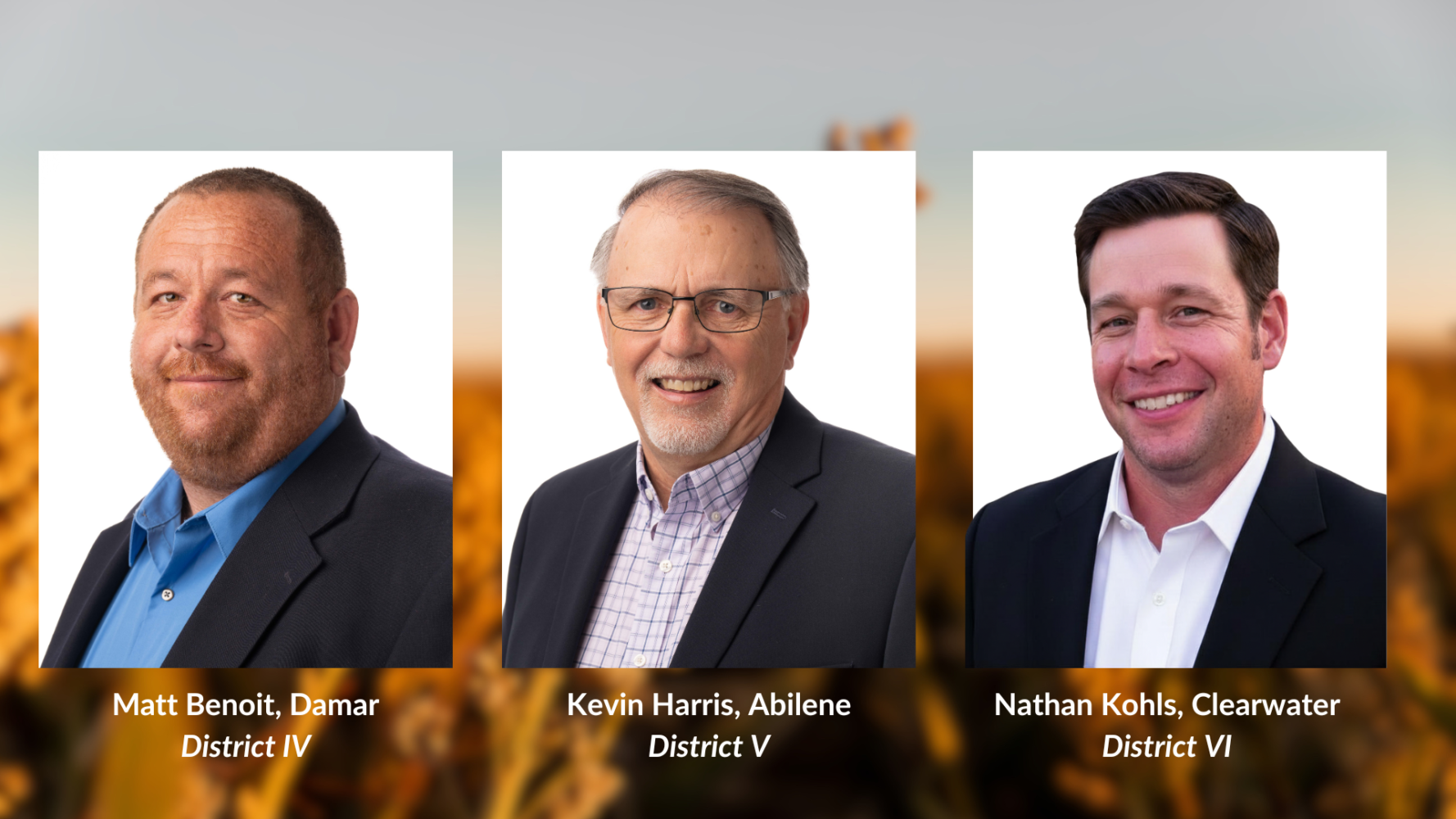 Kansas Grain Sorghum – Growers Working Together
